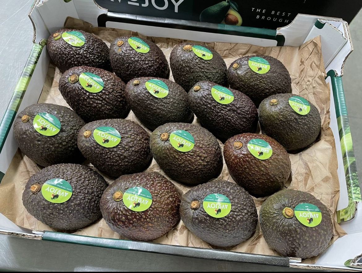 Avocado RTE (Avojoy) 18Stk/4kg. PE - Vejle Frugt og Grønt