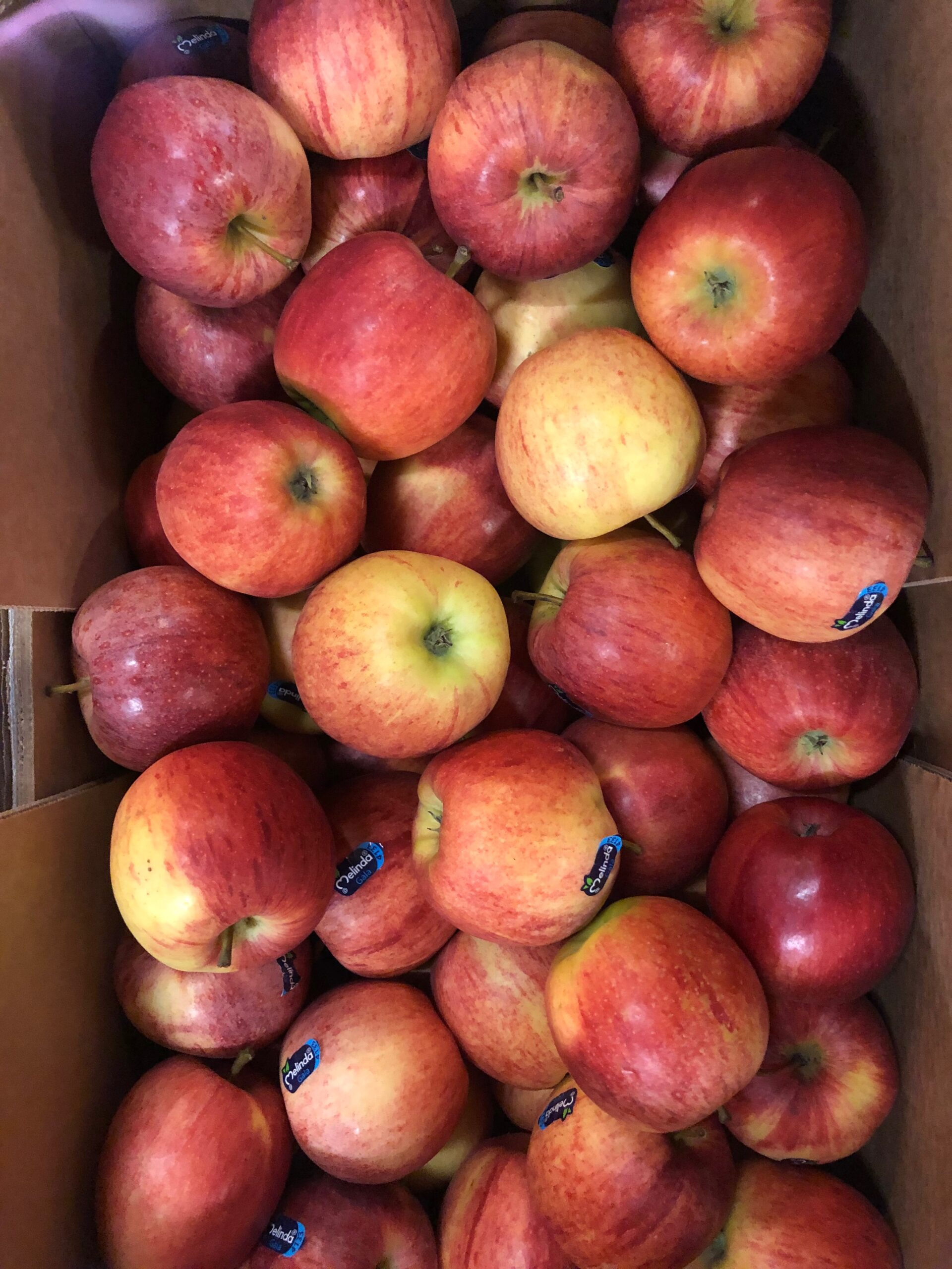 Æbler Royal Gala 1stk. IT - Moussa Mudi Frugt og Grønt