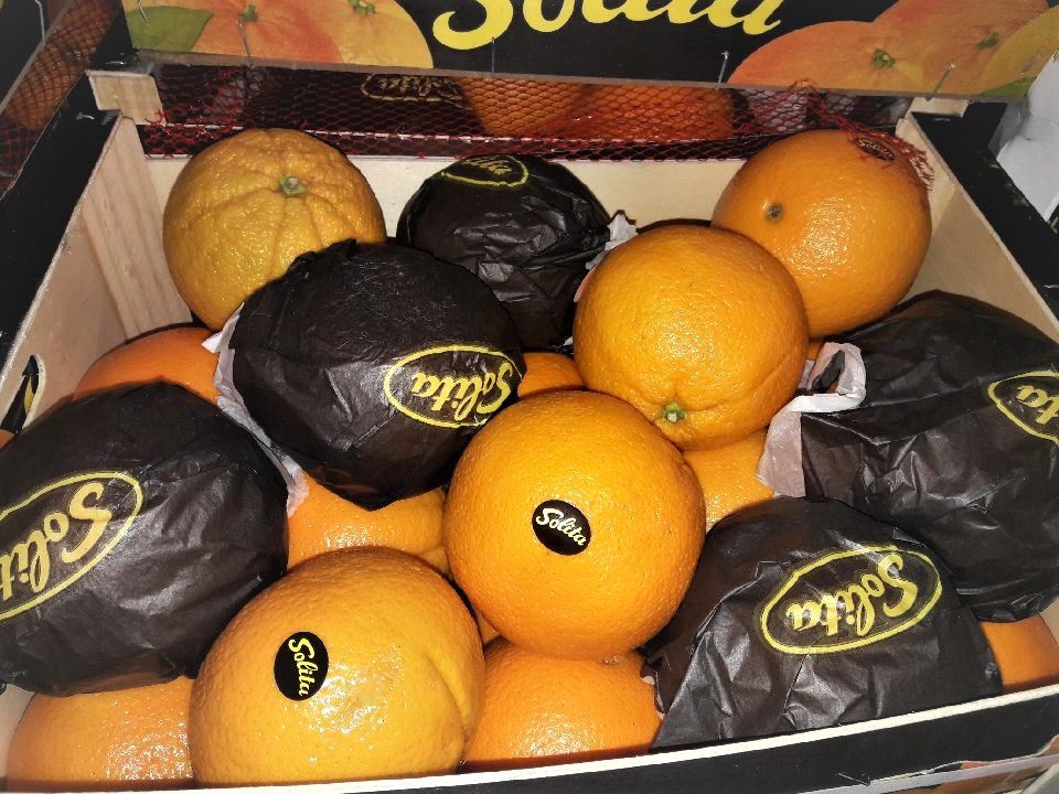 Appelsiner 48stk/15kg. ES - Moussa Mudi Frugt og Grønt